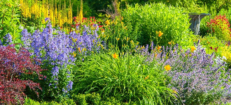 How to Plan a Flower Garden | Brecks