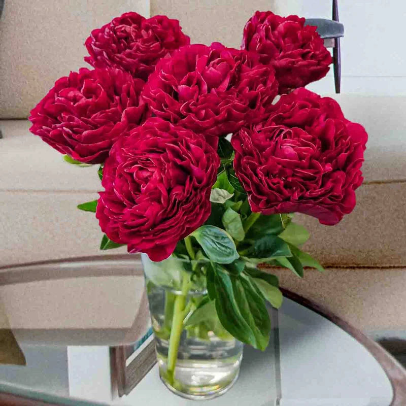 Old Faithful Peony | Sale on Award Winner Peonies | Breck's – Brecks