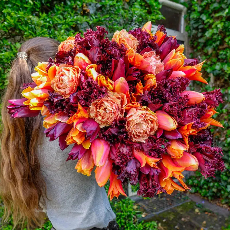 Cranberry-Apple Crunch Tulip Mixture | Tulips | Breck's – Brecks