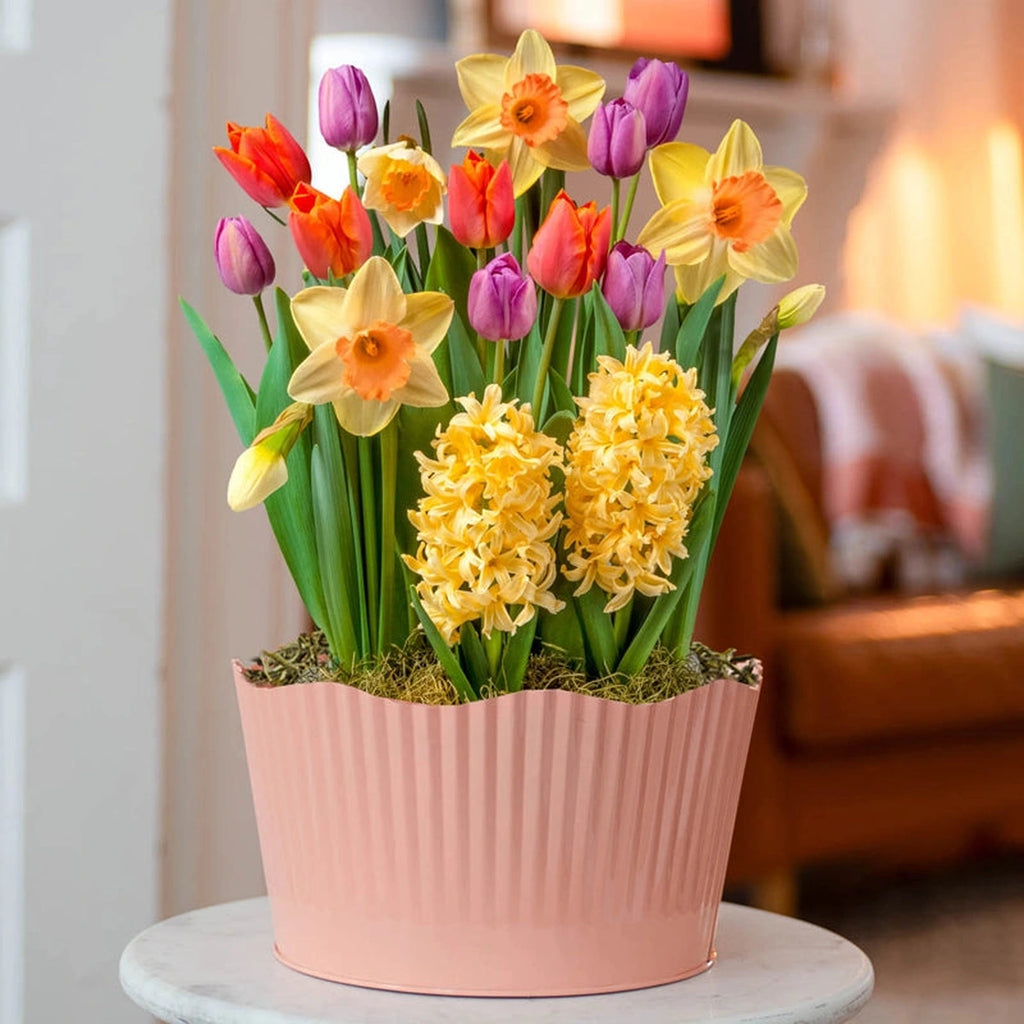 Breck's Flower Bulbs - Bulbs from Holland since 1818