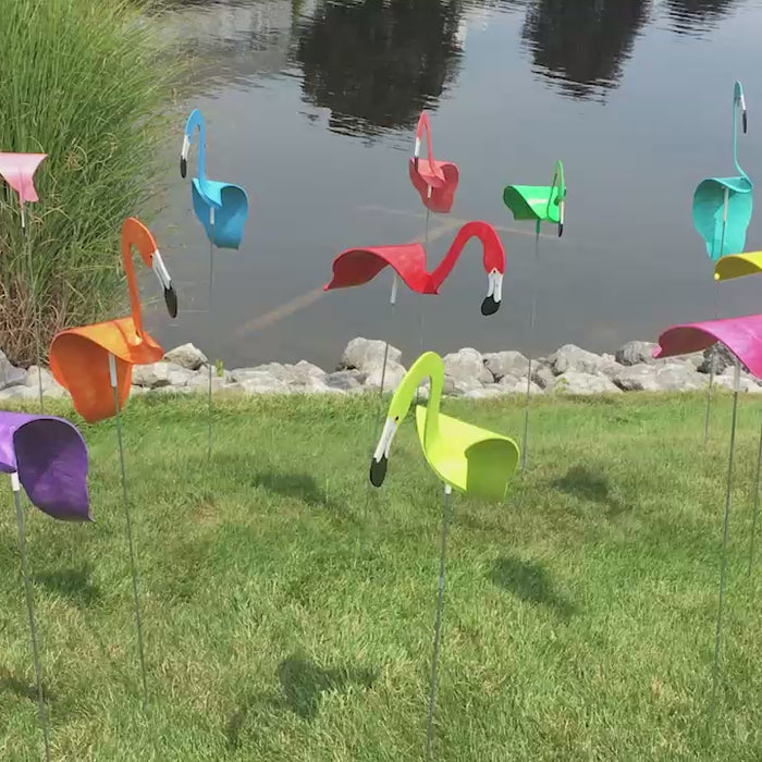 Florida Dancing Birds Flamingo | Decor | Brecks